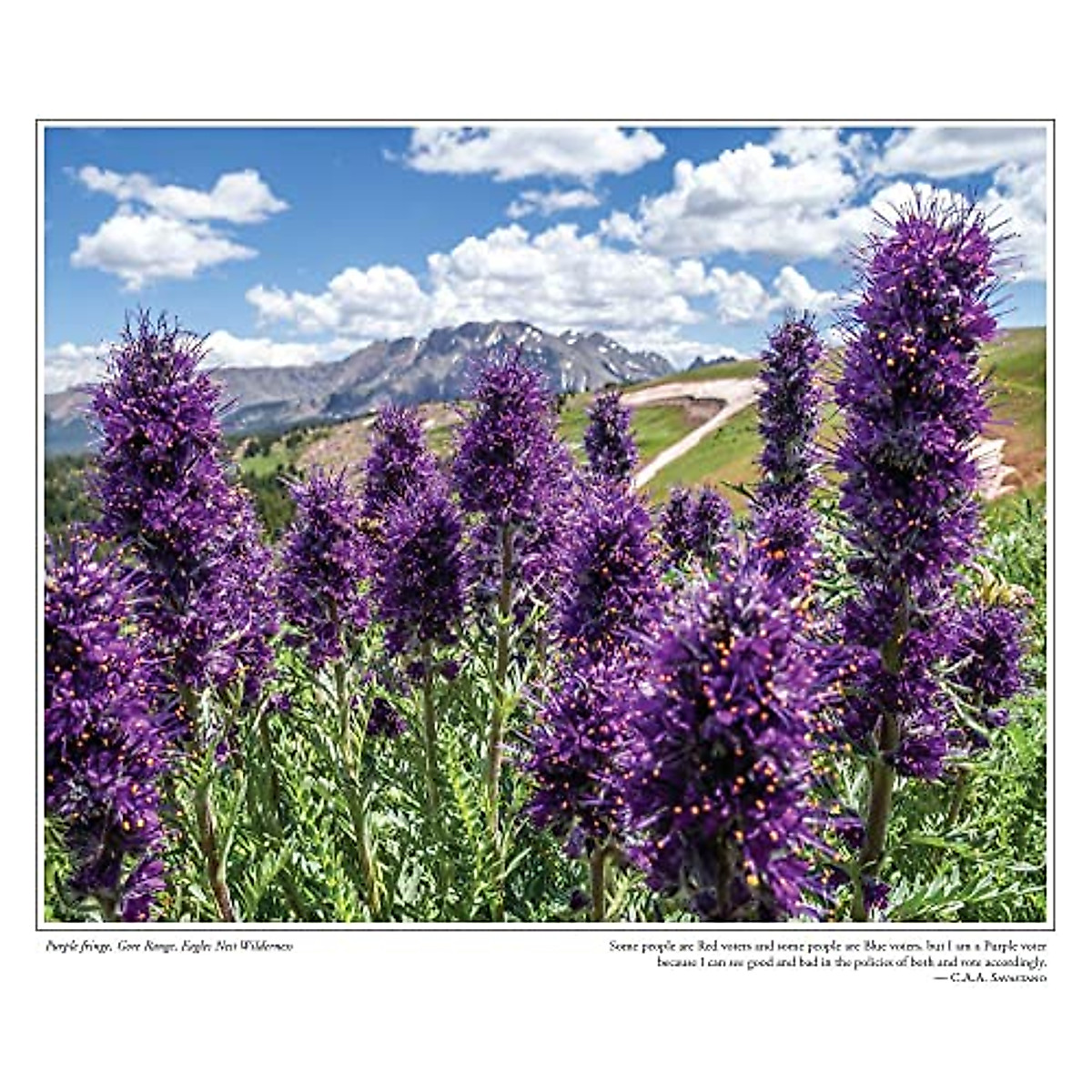 John Fielder's Colorado 2023 Scenic Wall Calendar