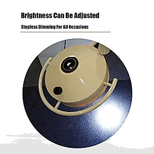 72W LED Stomatology Cold Light Shadowless Lamp Surgical Wall-Mounted Lamp Beauty Tattoo Pet Surgery Shadowless Light 24 Bulbs