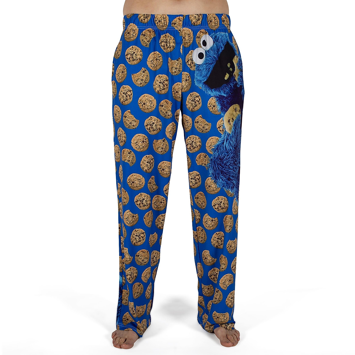 BRIEF INSANITY Sesame Street Adult Lounge Pajama Pants - Comfy, Loose-Fit, Ultra-Soft - Cookie Monster Sleep Bottoms (Large, Cookie Monster)
