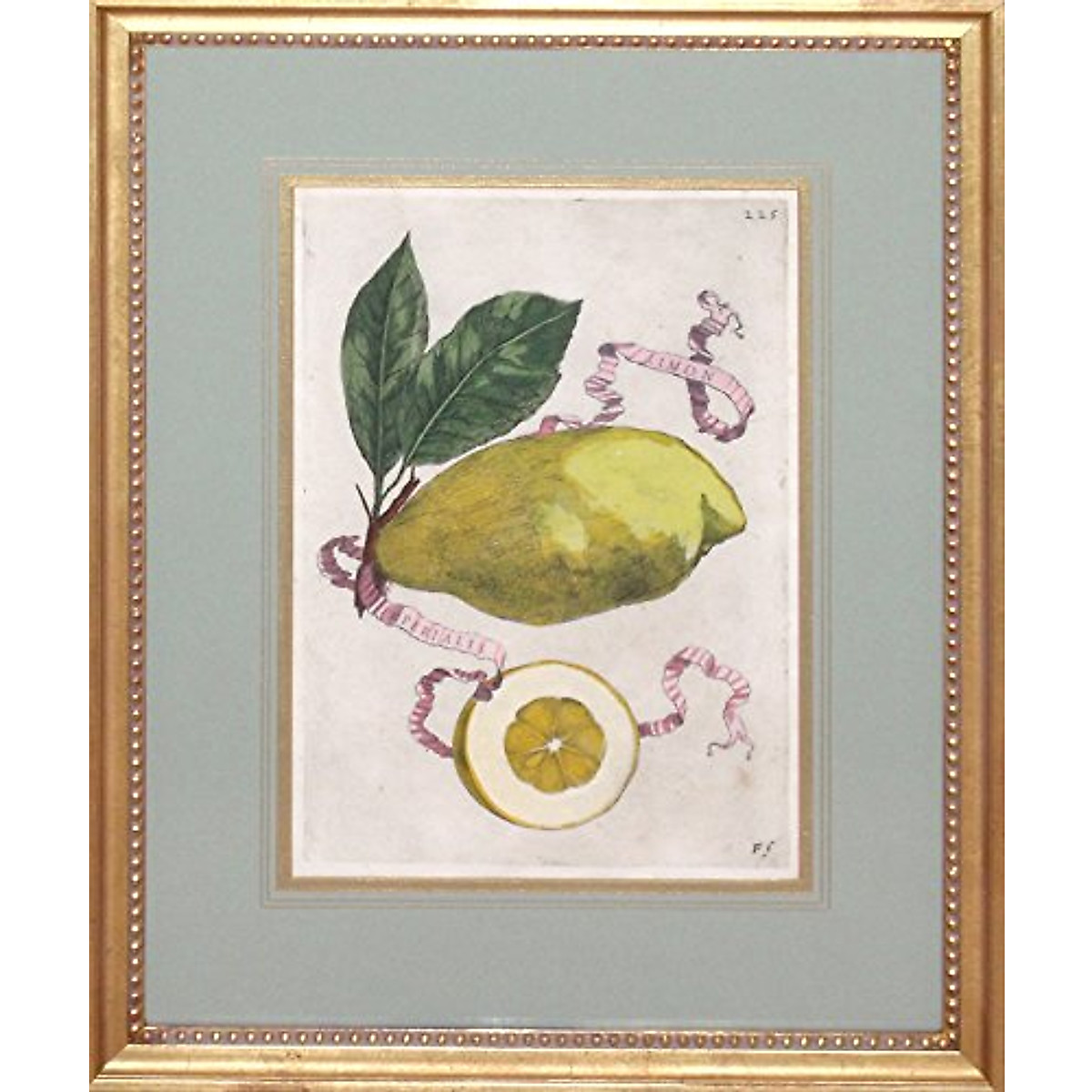 Plate 225: Limon Imperialis