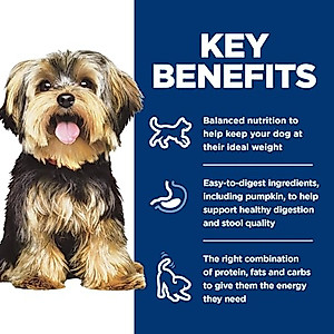 Hill's Science Diet Small & Mini, Senior Adult 7+, Small & Mini Breeds Senior Premium Nutrition, Wet Dog Food, Chicken & Barley Loaf, 5.8 oz Can, Case of 24