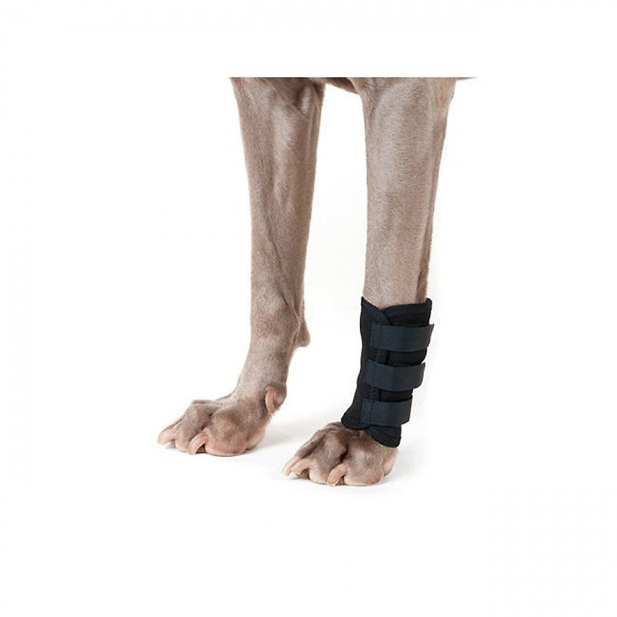 Back on Track Therapeutic Dog Leg Wraps Large