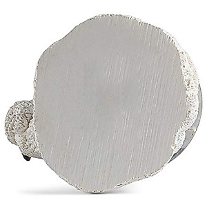 Elanze Designs Mommy Penguin and Chicks 3 x 3 Miniature 45MM Water Globe Table Top Figurine