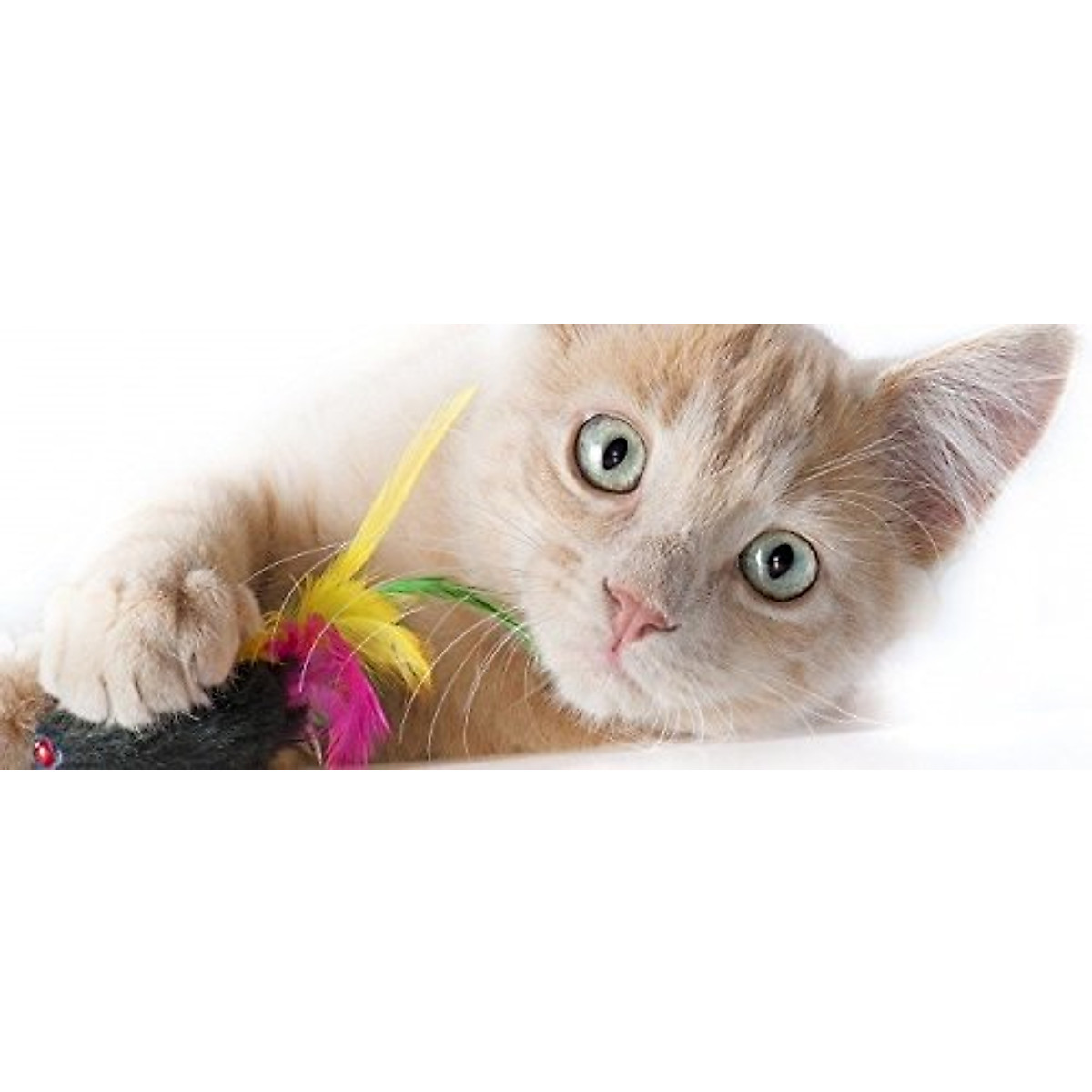 Cats Immune Support - Immune System Booster - CAT Treats - Premium Complex Blend - Powerful - Milk Thistle Cats - 180 Treats (3 Bottle)