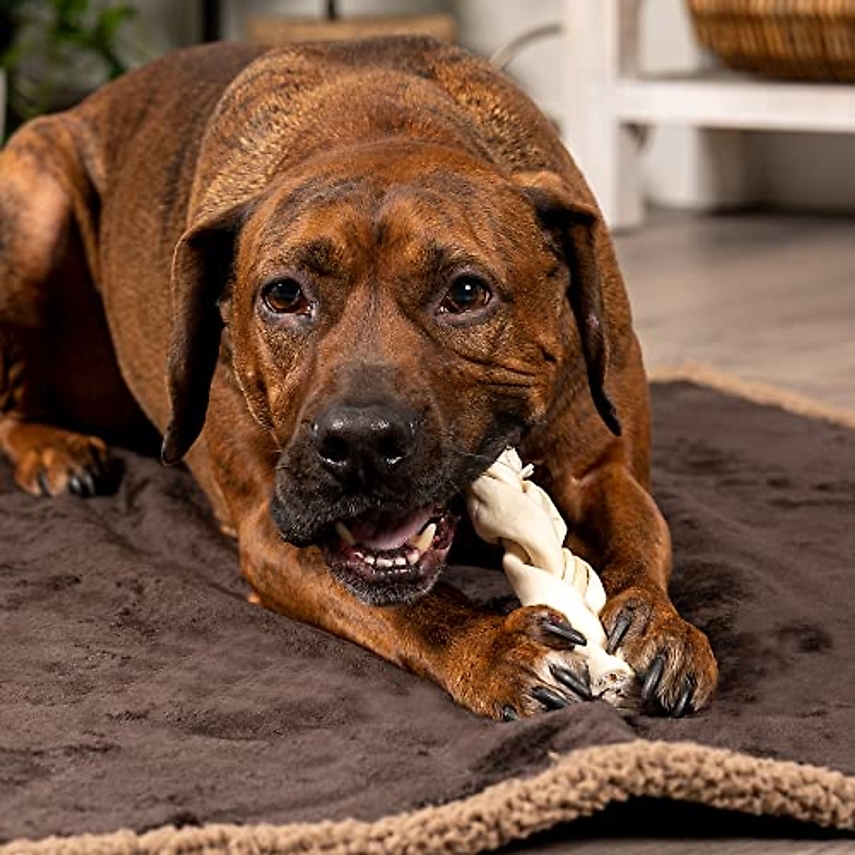 Pet Factory American Beefhide 6" Braided Sticks Dog Chew Treats - Natural Flavor, 14 Count/1 Pack