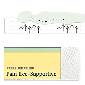 ZINUS 10 Inch Green Tea Essential Memory Foam Mattress, Queen, Mattress in A Box, Affordable Mattress, CertiPUR-US Certified