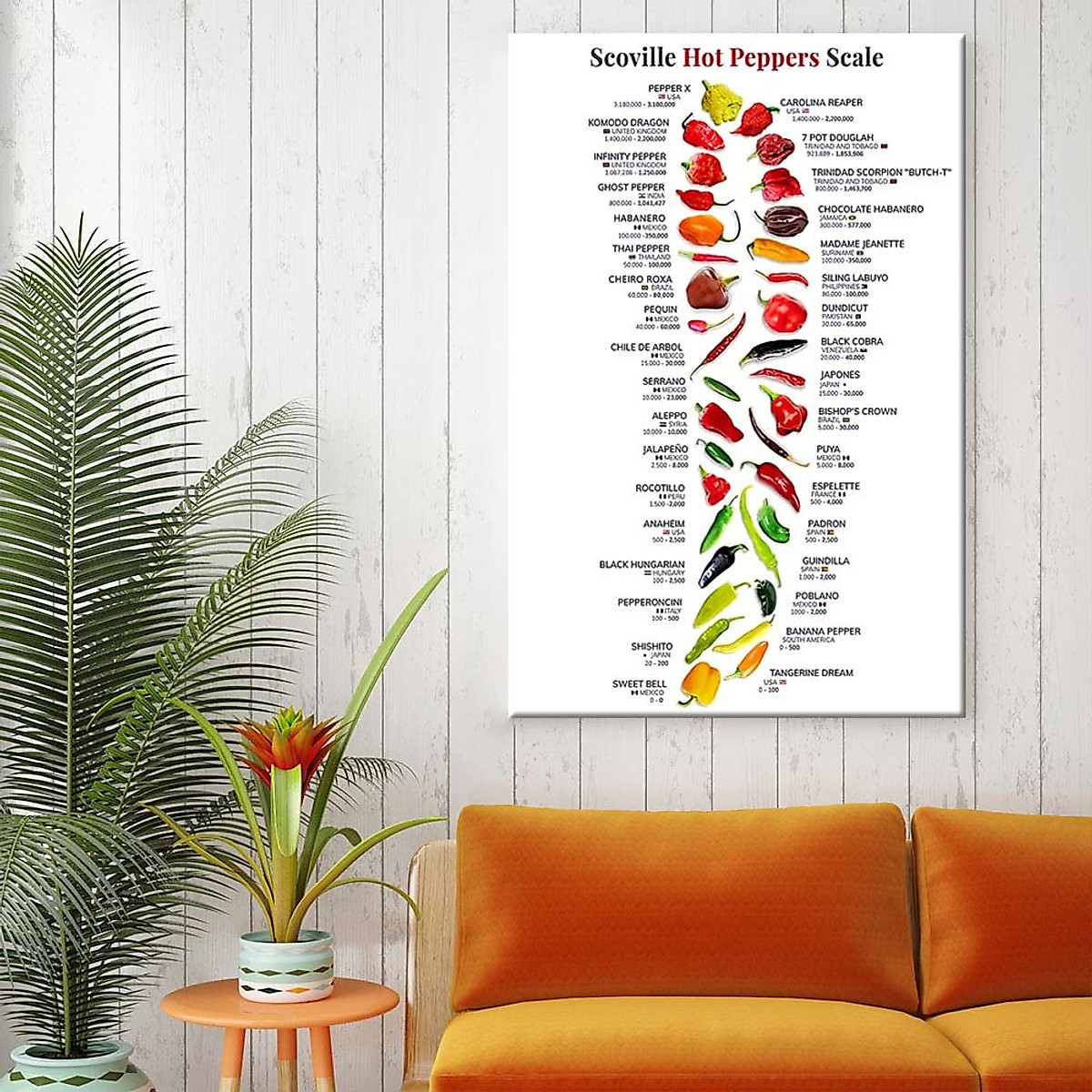 Scovill Hot Peppers Scale , Chilli Capsicum Knowledge Posters Nature Plant Gourmet Botanical Guide Kitchin Fresh Gift Living Room Prints Bedroom Decor (16x24inch-No Frame)