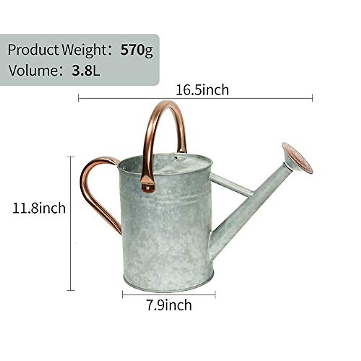Metal Watering Can, One Gallon Watering Cans Stainless Steel Handle for Outdoor Indoor Garden Plants Watering (1 Gallon Silvers)