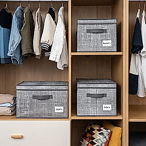 DOVAMY Fabric Storage Bins with Lids, Foldable Decorative Storage Boxes, Shelf Organizer for Closet, Storage Baskets, 15.7”L x 11.8”W x 9.8”H, Light Grey BDR0302