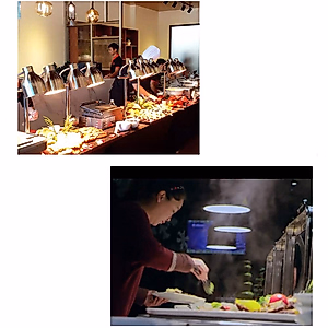 ZXT Food Warming lamp Single/Double Bulbs Buffet Display Heating Preservation Light,Commercial Portable W250 Heat Lamp (Color : Silver, Size : Double Head)