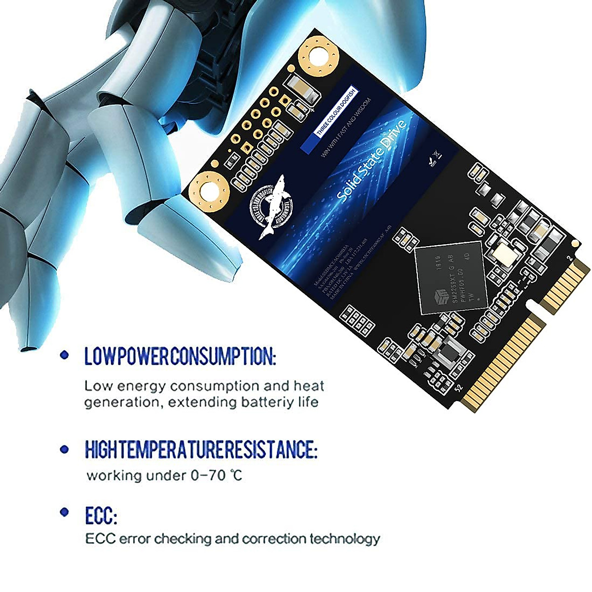 Dogfish mSATA SSD 256GB 3D NAND TLC SATA III 6 Gb/s, mSATA (30x50.9mm) Internal Solid State Drive - Compatible with Desktop PC Laptop - (MSATA 256GB)