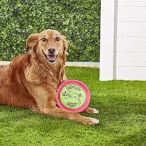 Booda Tail-Spin Flyer, 7-Inch, Multi