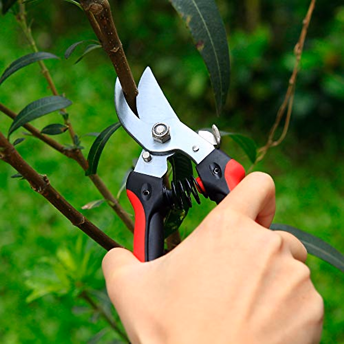 The Gardener's Friend Bypass Pruners for Small Hands, These Pruning Shears are Lightweight and Easy to Use. Ideal for Ladies and Men Gardeners with Small or Weak Hands Perfect Garden Gift