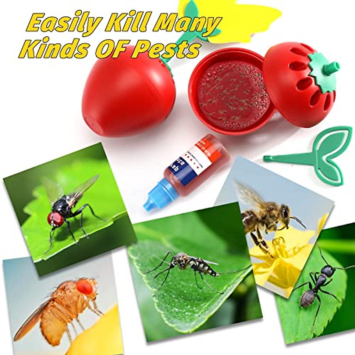 Fruit Fly Trap for Indoors, Fly Catcher Gnat Trap Fruit Fly Killer with 12 Yellow Sticky Traps, Gnat Trap with Bait for Indoor Outdoor, Safe Non-Toxic Fly Trap for Home/Kitchen/Plant (2 Pack)