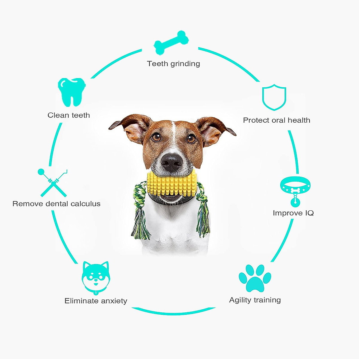 PTFBOY Dog Chew Toys for Aggressive Chewers Small Medium Breed, Dog Squeaky and Rope Toys,Tug of War Large Dog Chew Toothbrush Toys Dog Teeth Cleaning Indestructible Durable Tough Toys 2 Packs