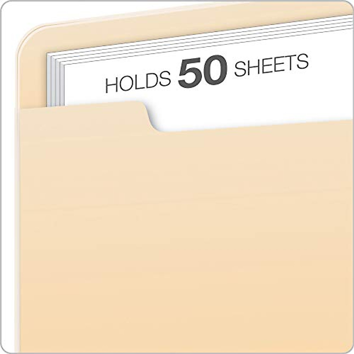 Pendaflex File Jackets, Flat, No Expansion, Manila, Letter Size, Straight Cut Tab, 100/Box (24990)