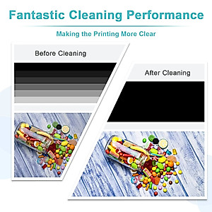 Printhead Cleaning Kit for Epson, Printer Cleaning Kit for HP, Inkjet Printer Head Cleaning Kit for Brother, Printer Cleaner Nozzle Cleaner Solution for Canon, Printers Print Head Cleaning Kit 100mL