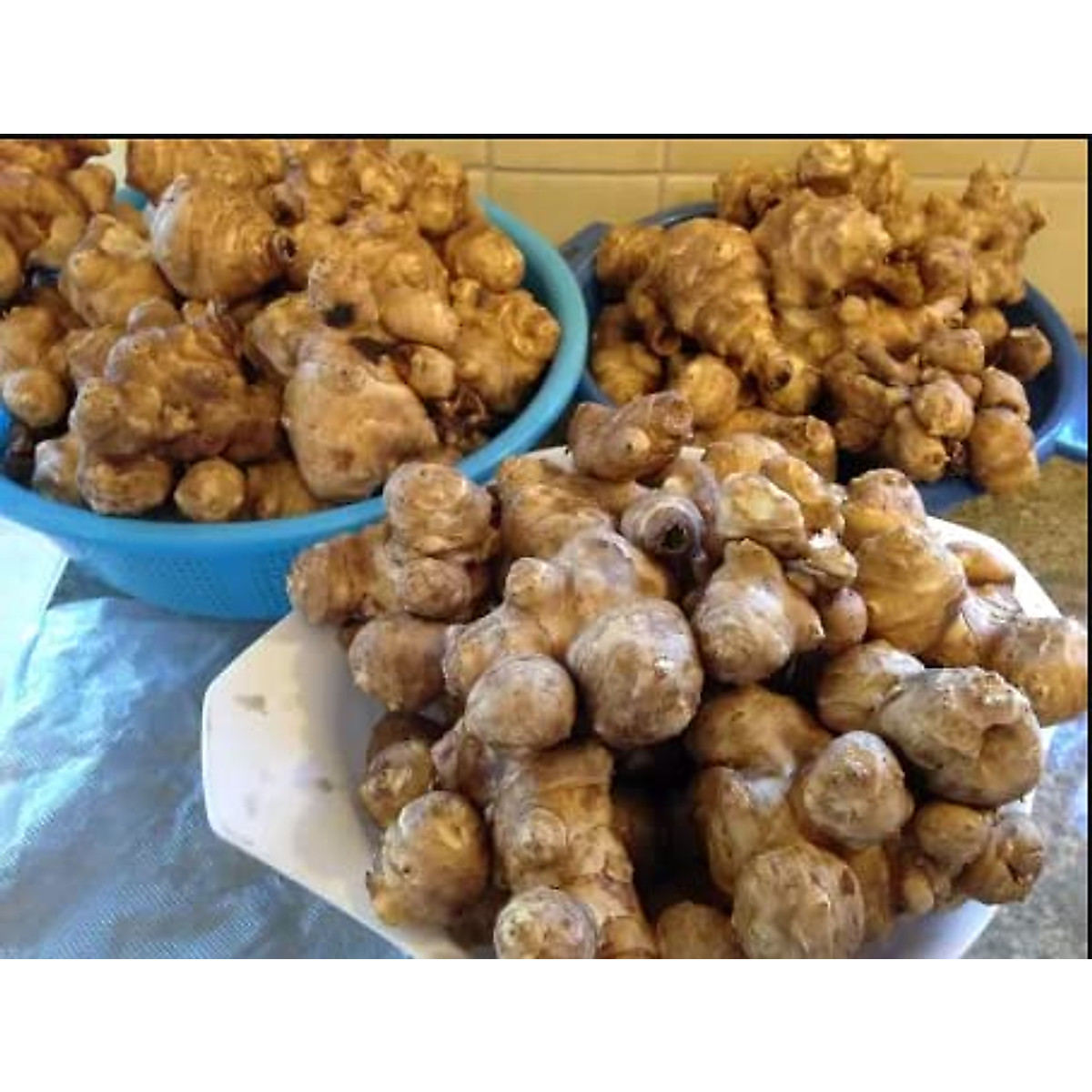 Jerusalem Artichoke Tubers Planting, 0.5 LB Ornaments Garden Perennials Simple to Grow Pots Gift