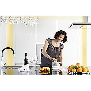 BRAUN CJ3000 Citrus Juicer 220V - (Not for use in the USA)