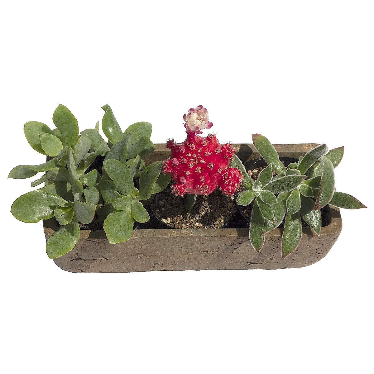 Classic Home and Garden 240001P-433 Dakota Trough, Rust, Large