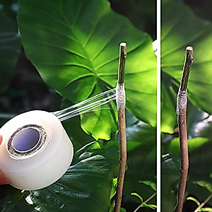 Garden Grafting Tape for Frees,Plant Tape Buddy Grafting Supplies Self-Adhesive Plant Repair Tape 6pcs