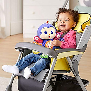 VTech Snug-a-Bug Musical Critter, Multicolor