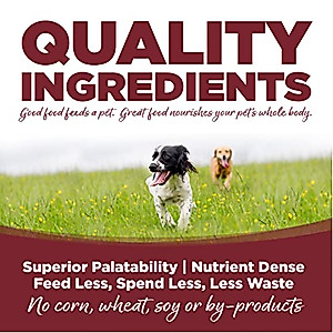 NutriSource Dog Food, Made with Beef and Brown Rice, with Wholesome Grains, 30LB, Dry Dog Food