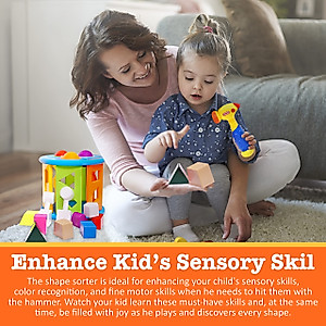 ODELA Match Roll Shape Sorter – Learning Toys with 10 Shaped Parts – Educational Toy with Three Balls and Musical Hammer – Help Your Kid Achieve Multiple Skills – Activity Cube Imagination Development