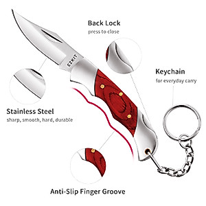 EZKIT Folding Pocket Knife with Back Lock, 2in Stainless Blade and Wood Handle, 4.8in Total Length, Compact EDC Gear