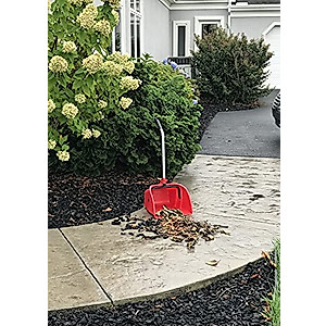 Harper 37518500 Heavy Duty Cleaning Set with Outdoor Push Broom, Floor Squeegee, Debris Pan and Handheld Scrubbing Brush