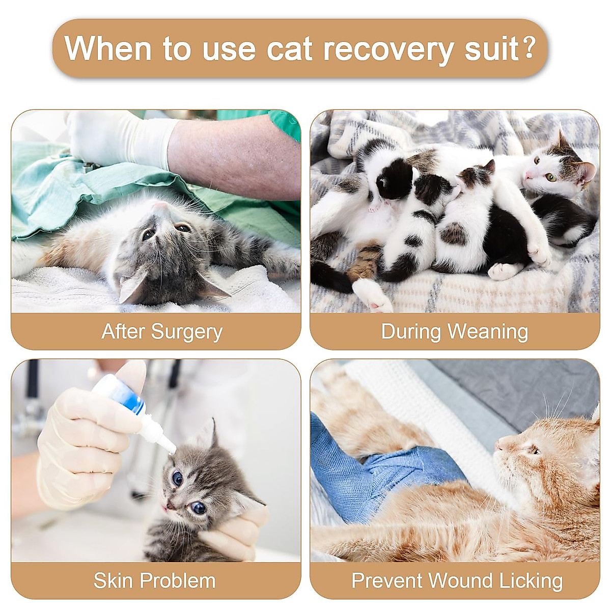 Due Felice Cat Surgery Recovery Suit Cats Surgical Onesie After Surgery Female Male Cat Post Spay Neuter Bodysuit Anti-Licking Wounds Cat Cone Alternative Yellow Bee/L