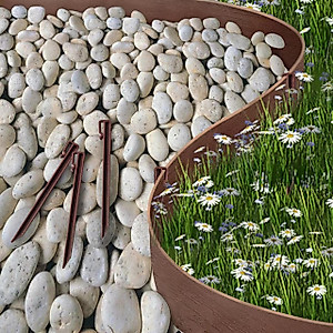 Citrine Garden Landscape Edging Kit, Include 4 Inch High 40 Feet Length Terrace Board, 20 Durable Spikes，Professional Edging Pruning Shear, Brown