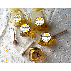 DnayDkiy 60-Count Mini Hexagonal Glass Honey Jars with Dippers - Perfect Party Favors for Baby Showers - Includes Gold Bee Charms, Thank You Cards, Stickers, Gift Bags, and Silk Ribbon