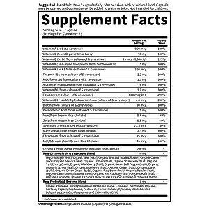 Garden of Life Vitamin Code Raw One Once Daily Multivitamin Capsules, Fruits, Veggies, Probiotics for Womens Health, Vegetarian, Gluten Free, 75 Count