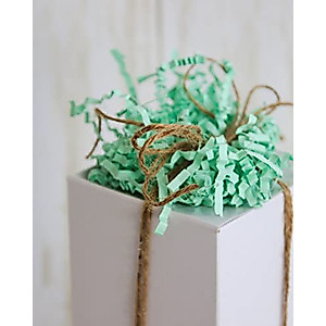 MagicWater Supply Crinkle Cut Paper Shred Filler (1 LB) for Gift Wrapping & Basket Filling - Mint