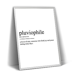 Pluviophile Definition Print - Version 2 - Poster Wall Art Quote Typography Home - Frame Not Included