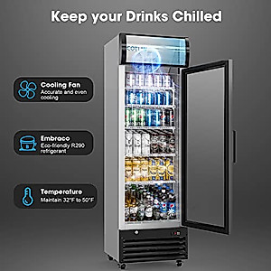 COTLIN Commercial Merchandiser Refrigerator with LED Lighting Single Glass Door, 9.0 Cu Ft Upright Display Beverage Cooler with Extra Shelves Drink Holders, ETL NSF Approved