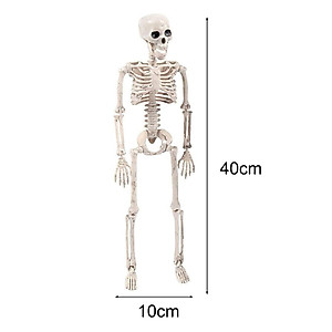 Oun Nana Halloween Posable Skeleton 16” Full Body Plastic Halloween Skeletons with Movable Joints, Mini Poseable Skeleton Toy for Halloween Party Decorations