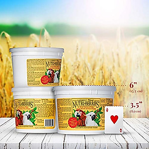 Lafeber's Classic Nutri-Berries for Macaw / Cockatoo 3.5 lb. Tub