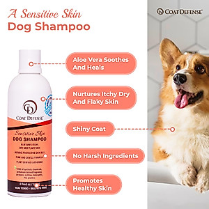 COAT DEFENSE CD Shampoo from All-Natural - Made in USA - Hypoallergenic & Concentrated | Aloe Based - Soothes and Relieves Itchy, Dry and Inflamed Skin | Safe for Everyone | 8 Ounces
