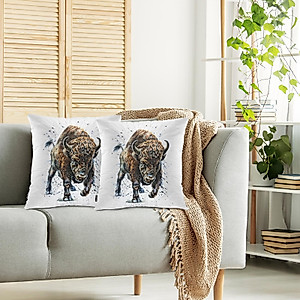 Swono Buffalo Set of 2 Decorative Throw Pillow Covers Cushion Case, Wild Animal Bison Buffalo Bull Farmhouse Pillowcase Cozy Pillow Cover for Couch Sofa Bed Garden Chair Car 18 X 18 Inch
