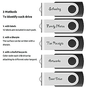 Enfain USB 2.0 4GB Flash Drives Bulk Small Capacity Thumb Drives 25 Pack (Black)