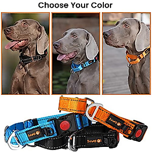 JuWow Nylon Martingale Collar, Adjustable Pet Slip Collar with Breakaway Buckle for Medium Large Dogs, Reflective Stitching Collar for Safe Training Walking (Large:17-22" * 1", Blue)