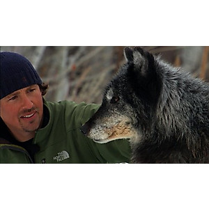 Kinect Nat Geo TV - Xbox 360