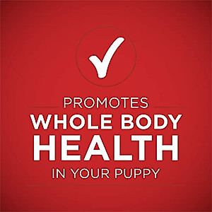 Purina ONE Plus Wet Puppy Food Classic Ground Healthy Puppy Lamb and Long Grain Rice Entree - (Pack of 12) 13 oz. Cans