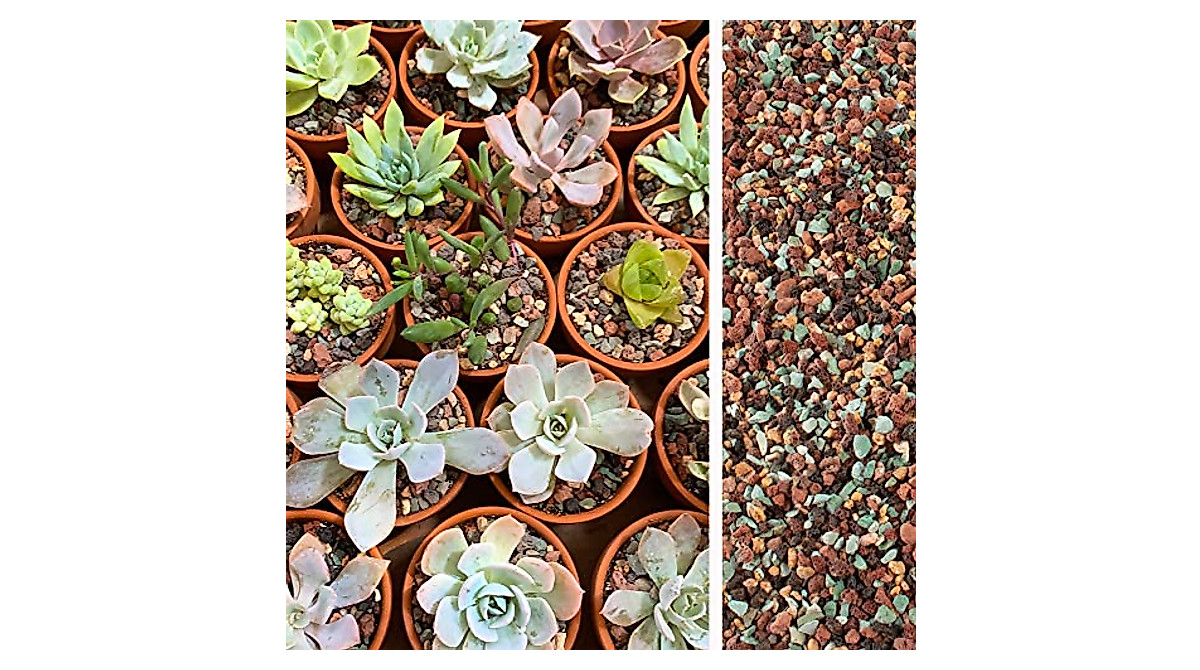 7lb Mix Lava Rocks for Plants - Ideal for Succulents