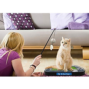 Pets First Los Angeles Dodgers Baseball Cat Scratcher Toy