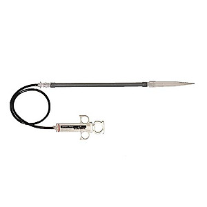 Two Little Fishies Julian's Thing