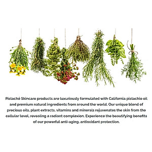 Pistaché Skincare Pistachio Oil Shampoo and Conditioner Set (Rich Pistachio Biscotti Scent) + Hydrating and Nourishing + Deep Moisturizing + Vitamin E + Paraben and Sulphate Free, 12 oz each