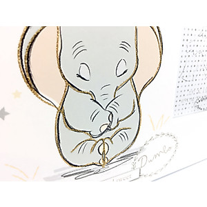 Disney Classic Pooh Dumbo Baby Photo Frame